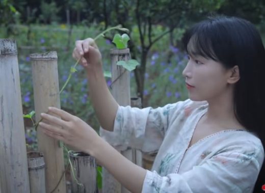China's hottest blogger Li Ziqi net worth, husband, married, age