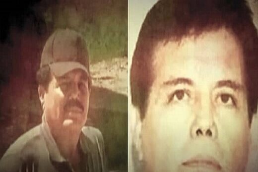 El Mayo and El Chapo relationship: What Do they do for a living?