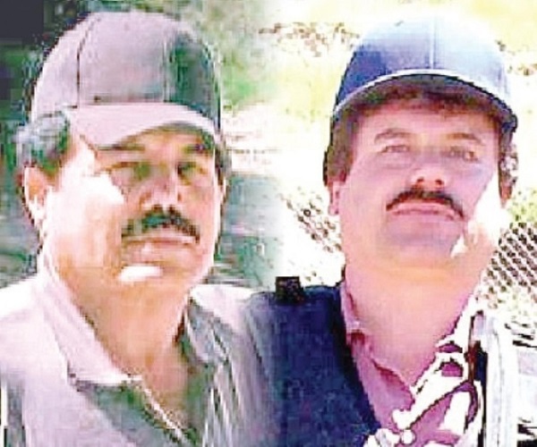 El Mayo and El Chapo relationship: What Do they do for a living?